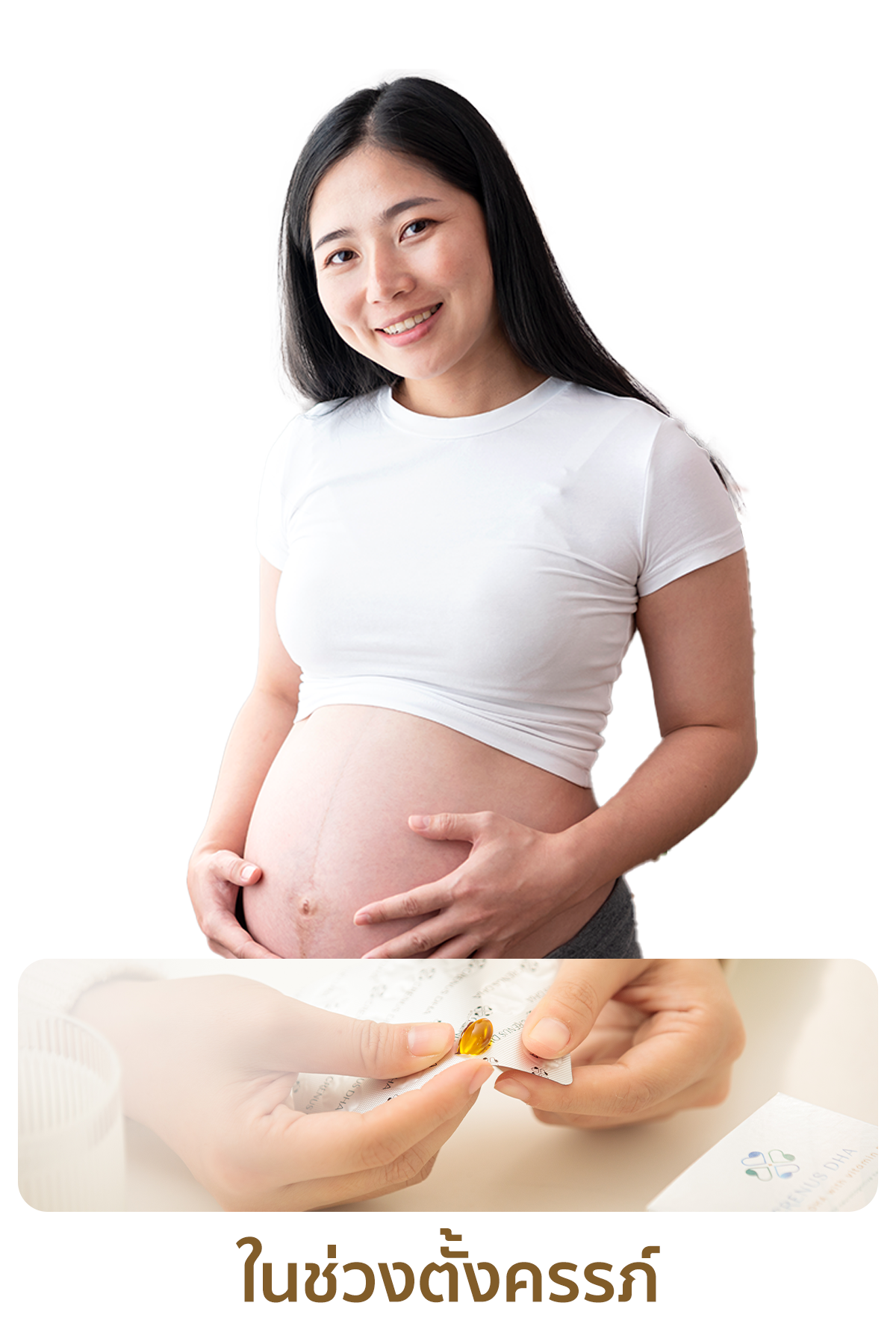 CRENUS DHA - Vinceplanet