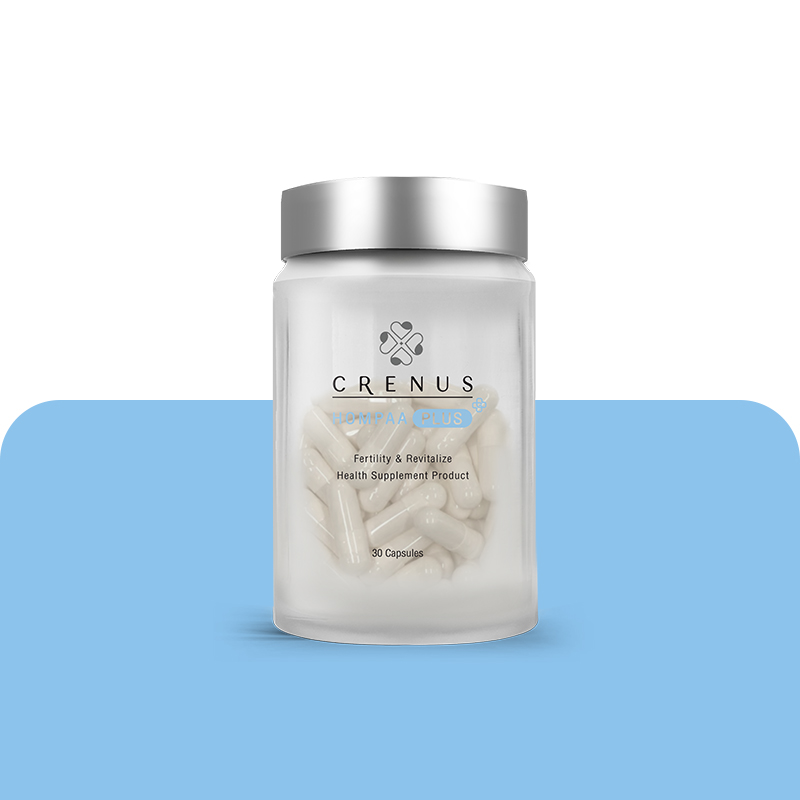 HOMPAA PLUS - Vinceplanet